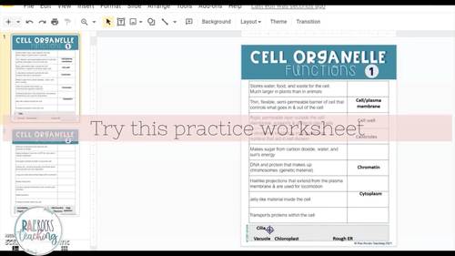Organelle Cell Functions by Rae Rocks Teaching | TPT