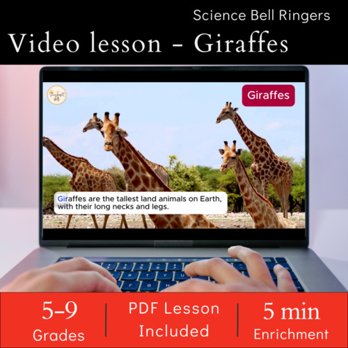 Science bell ringer video (4 min) - Giraffes - Middle school | TPT