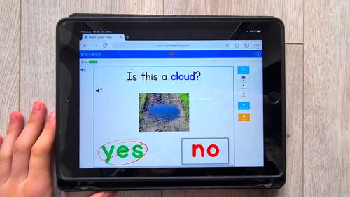 Spring Speech Therapy BOOM CARDS™ | Yes No Questions by Angie S | TpT