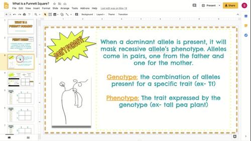 What is a Punnett square? Virtual Lesson *Editable*| Distance Learning