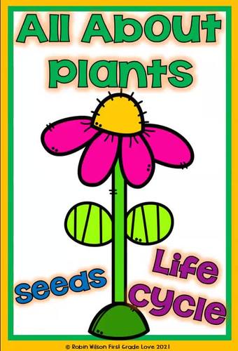 Plant Life Cycle First Grade by Robin Wilson First Grade Love | TpT