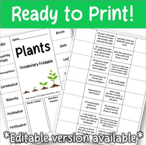 Plants Vocabulary Science Study Foldable and Mini Flashcards | TPT
