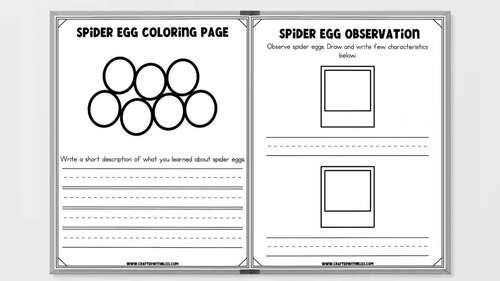 Spider Life Cycle Week Unit Plan K-2 by Crafted with Bliss by Teacher Pia