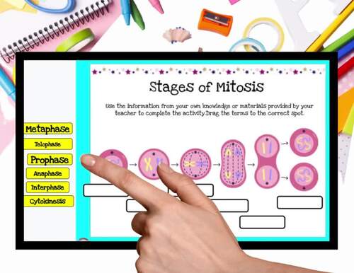 Ultimate Biology STAAR Review Boot Camp Bundle | 800+ Practice ...