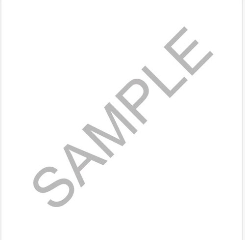 Al Capone Does My Shirts Novel Units® Student Packet Novel Study