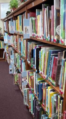 Fiction Library Shelf Dividers | 119 Library Labels for Fiction Book ...