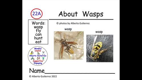 Computer Reading: About Wasps #22A by ALBERTO GUTIERREZ | TPT