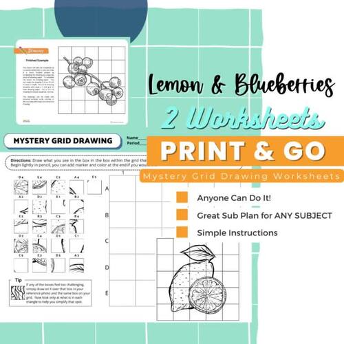 Summer End-of-the-Year Art Activity/WORKSHEET: Mystery Grid Drawing ...