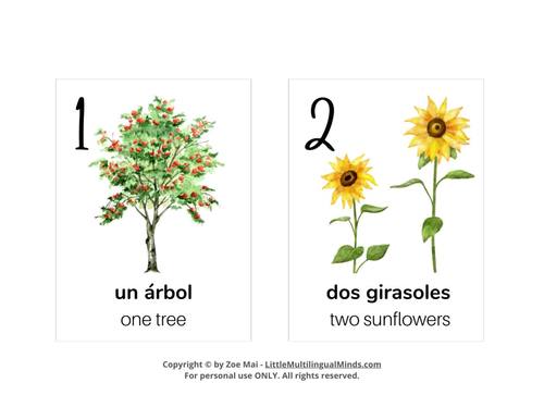 Bilingual Spanish Numbers Flashcards and Matching Cards - Números en ...