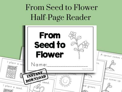 From Seed to Flower Emergent Reader | Plant Lifecycle Activity| Prek ...