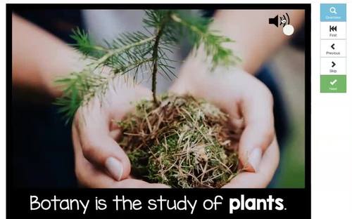 All About Plants Boom Cards - Plant Life Cycle Kindergarten Science ...