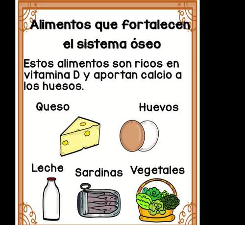 El Sistema Óseo | Actividades- Posters- Juegos |Spanish Resources
