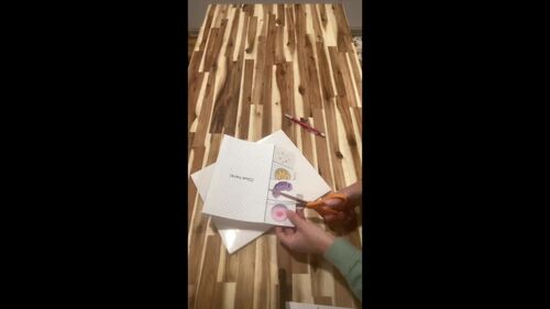 Cell Organelles Foldable | Interactive Science Notebook | Grades 6-8