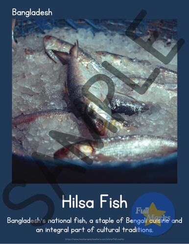 Bangladesh Wonders Poster Set Real Photos, Boho Modern Geography ...