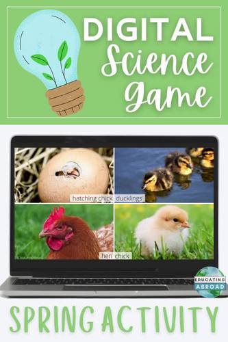 Spring Activity for Critical Thinking and Oral Communication | TPT