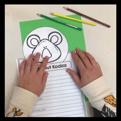Koala Informative Writing Activities | Australian Animals | Label A Koala