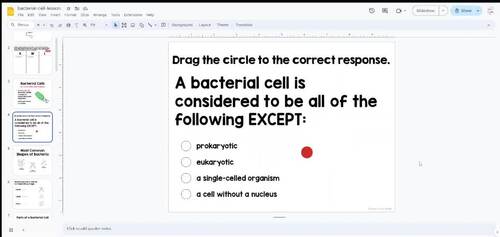 Bacterial Cells Interactive Lesson by Kayla Renee' - Bright in the Middle