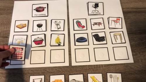 Feature Function Class Sorting Boards for Sorting Activities ABA Speech ...