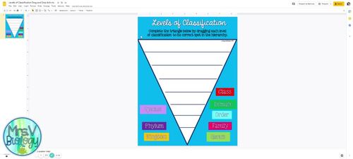 Taxonomy: Levels of Classification DIGITAL Activity by Mrs V Biology