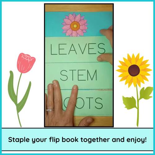 "4 Parts of a Plant" | A Flip Book to Teach Roots, Stem, Leaves & Flower