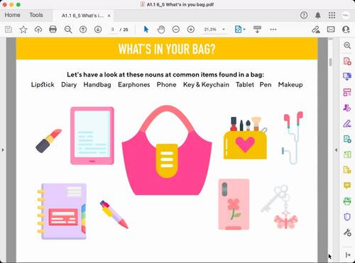 ESL Beginners Lesson: Learn Vocabulary - Things in a Bag and Basic Places