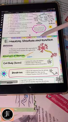 Nervous System Notes Hyperlinked, Bonus Flashcards Stickers Study Tips ...