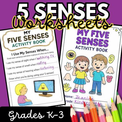 Five Senses Worksheets & Graphic Organizer | Five Senses Kindergarten ...