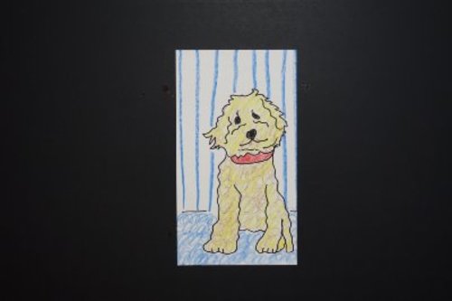 easy to draw goldendoodle