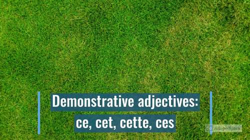 FRENCH Demonstrative adjectives ce cet cette ces review exercises worksheet
