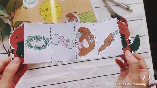 Australian Animals, Platypus life cycle facts, Platypus life cycle ...