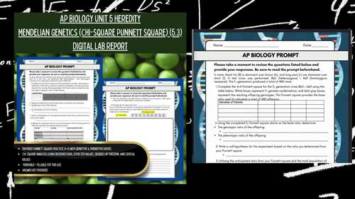 AP Biology UNIT 5 Heredity 5.3 Chi-Square Punnett Square Digital Lab Report