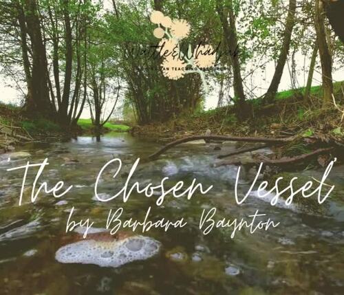 ATAR ENGLISH / LIT TEACHING NOTES: 'The Chosen Vessel' - Barbara Baynton