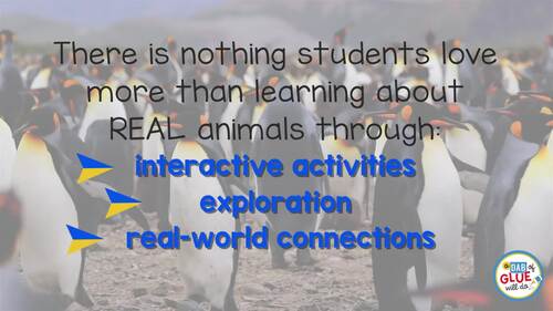 All About Penguins | Penguins Science | Winter Science Lessons & Activities