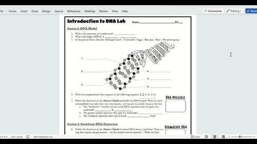 Introduction to DNA Station Lab Activity by Science With Grapes
