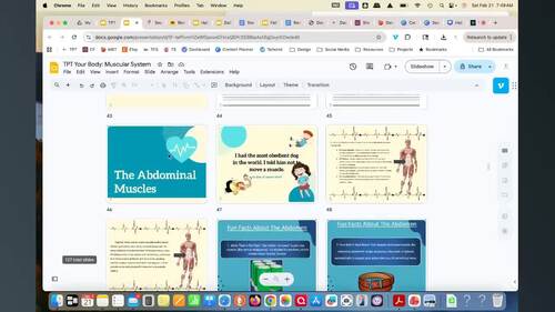 Muscular System Bundle - Interactive Slides & Leveled Readings | TPT