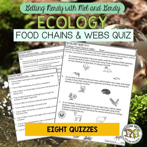 Ecology | Ecosystems | Food Chains | Food Webs | Energy Flow Quiz ...