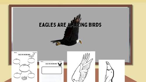 Eagles are Amazing Birds Opinion Writing and Craft | TPT