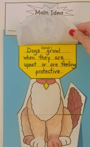 Main Idea and Supporting Details For Non-Fiction by KreativeKat | TPT