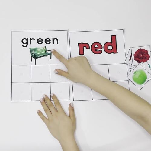 Color Sorting Activity Real Pictures Learning Colors Special Ed Set 1 ...