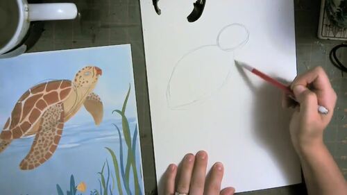 How to Paint Sea Creatures Using Watercolor for Beginners | TPT