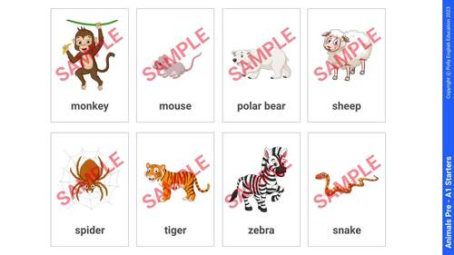 Animal Flash Card Set (Complete) by Polly English Resources | TPT