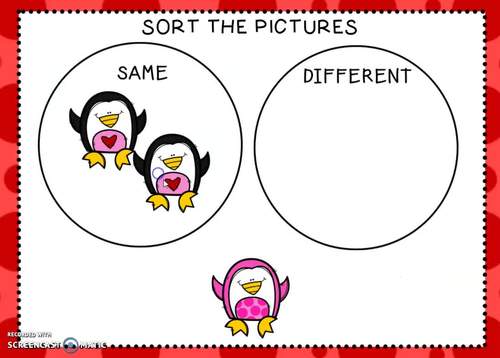 Same and Different Boom Cards™ Distance Learning Basic Concepts | TPT