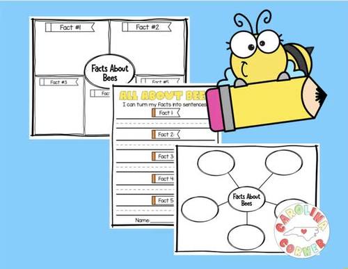 Bugs and Insects Writing Craftivities BUNDLE Kindergarten First ...