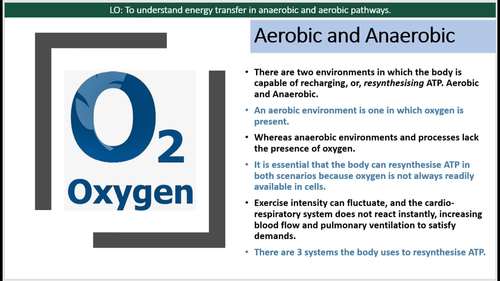 Energy Systems Anatomy and Physiology Powerpoint Lesson by Jonathan Benson