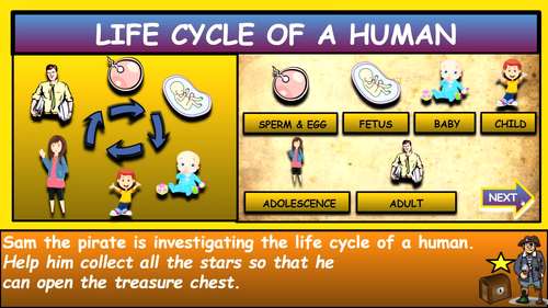Human Life Cycle Unit Bundle:Presentation | Drag and Drop | Puzzles ...