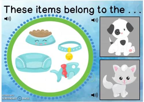Boom Cards™ Who Uses These Items? Classifying with Community Helpers