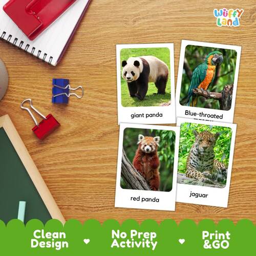 Endangered Animals Flashcards | 63 Real Photo Cards | Science & ESL ...