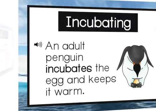 Penguin Life Cycle Lesson Boom Card Task Cards + Printable Worksheet ...