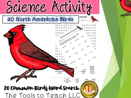 20 Common North American Birds Vocabulary Word Search by The Tools to ...