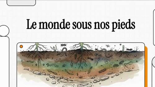 Les couches du sol, Layers Soil: PowerPoint, vidéo, 2 affiches Sciences ...